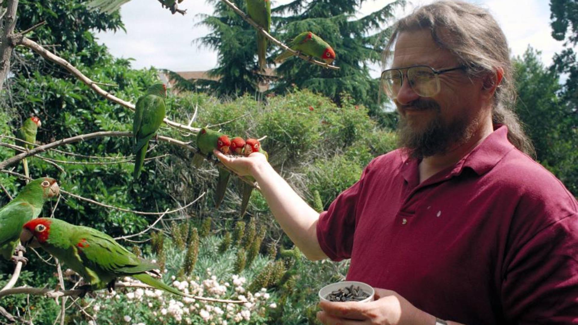 The Wild Parrots of Telegraph Hill